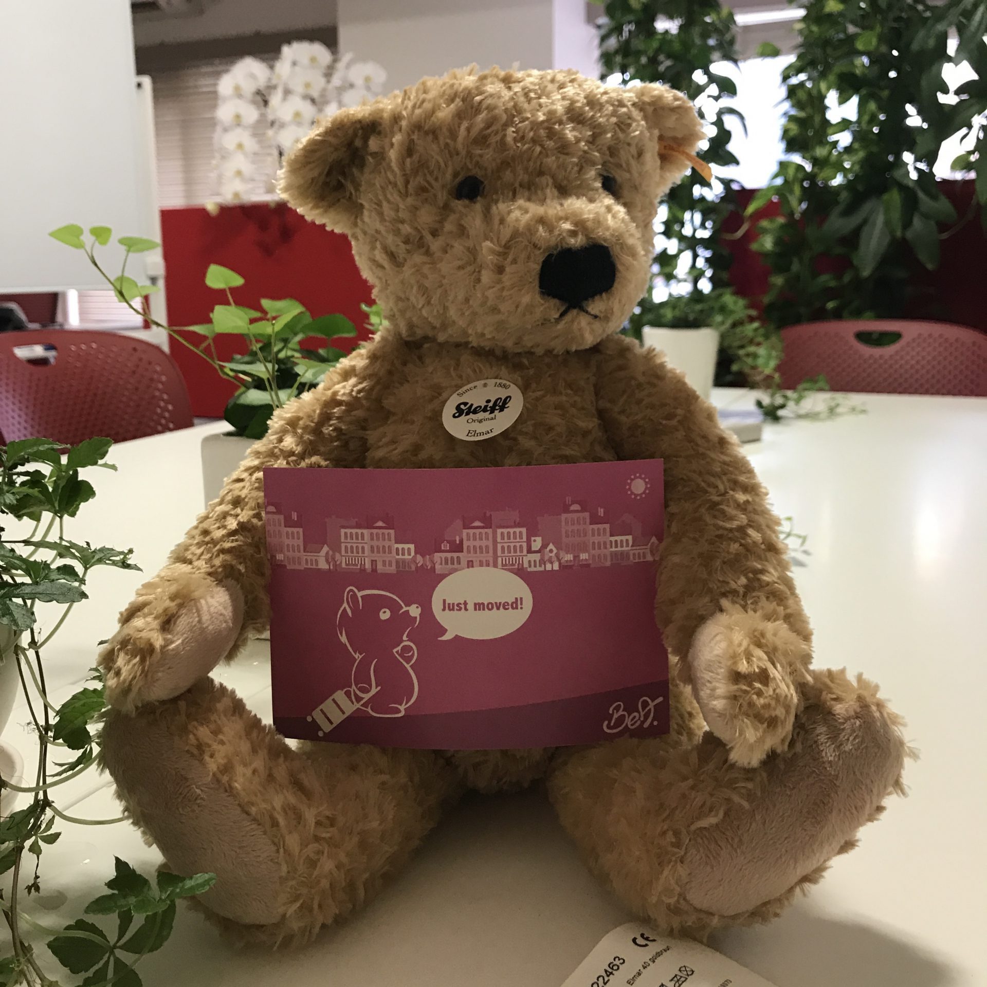 会社概要 | 株式会社BeA【インバウンド&国内集客支援】